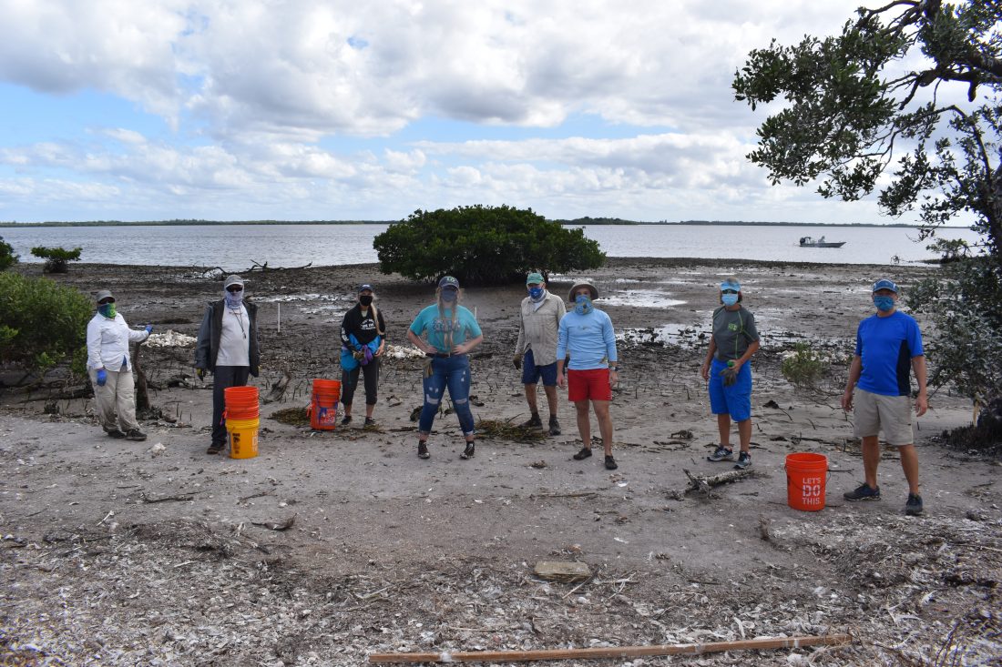 SCCF thanks restoration project volunteers - SANIBEL-CAPTIVA - Island ...